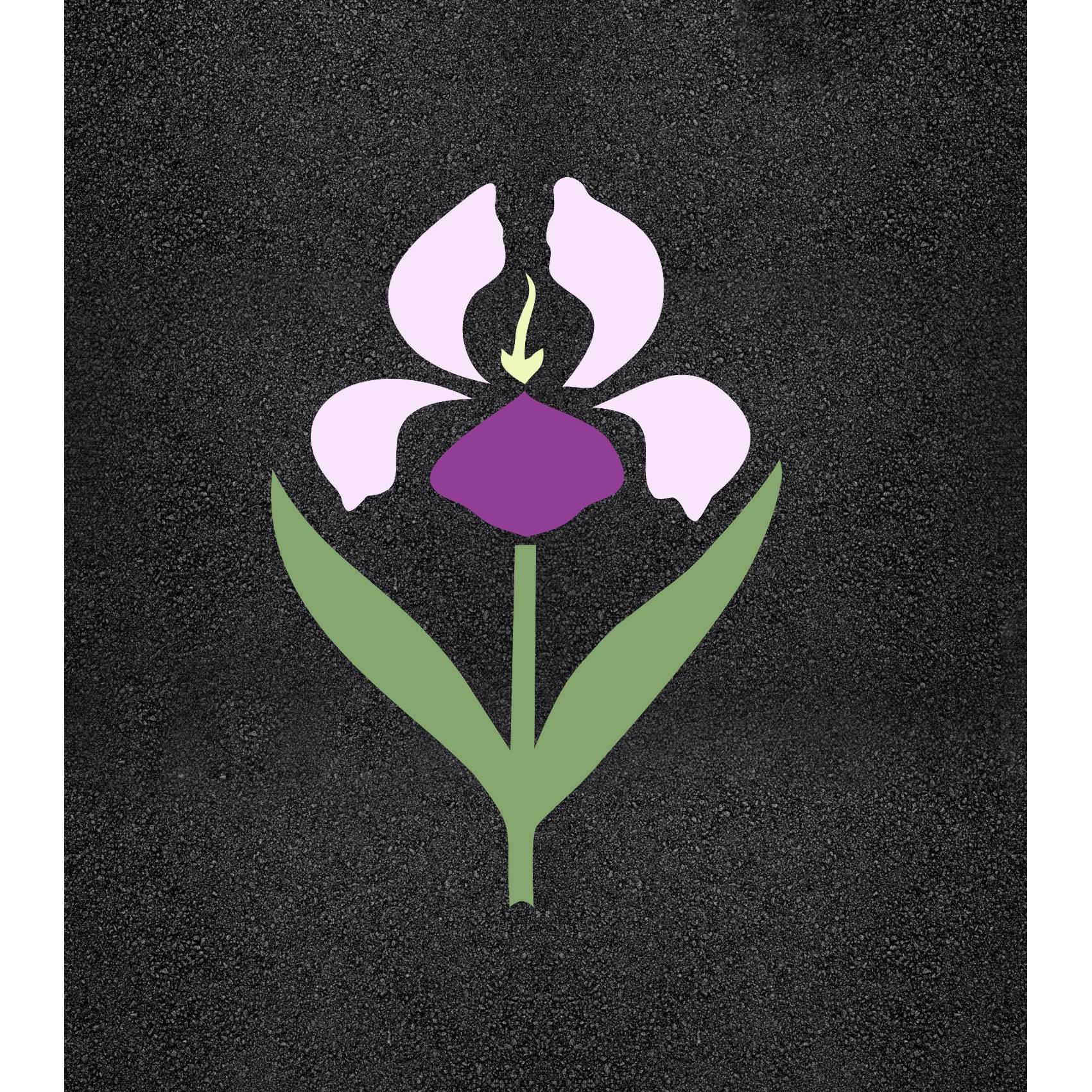 20" x 14" Iris Flower Stencil - RAE Products & Chemicals Corp ...